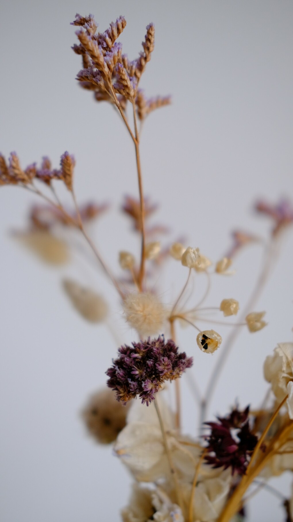 Klein Paars Lente Droogbloemen Boeket - Swan Market | Conceptstore voor ...