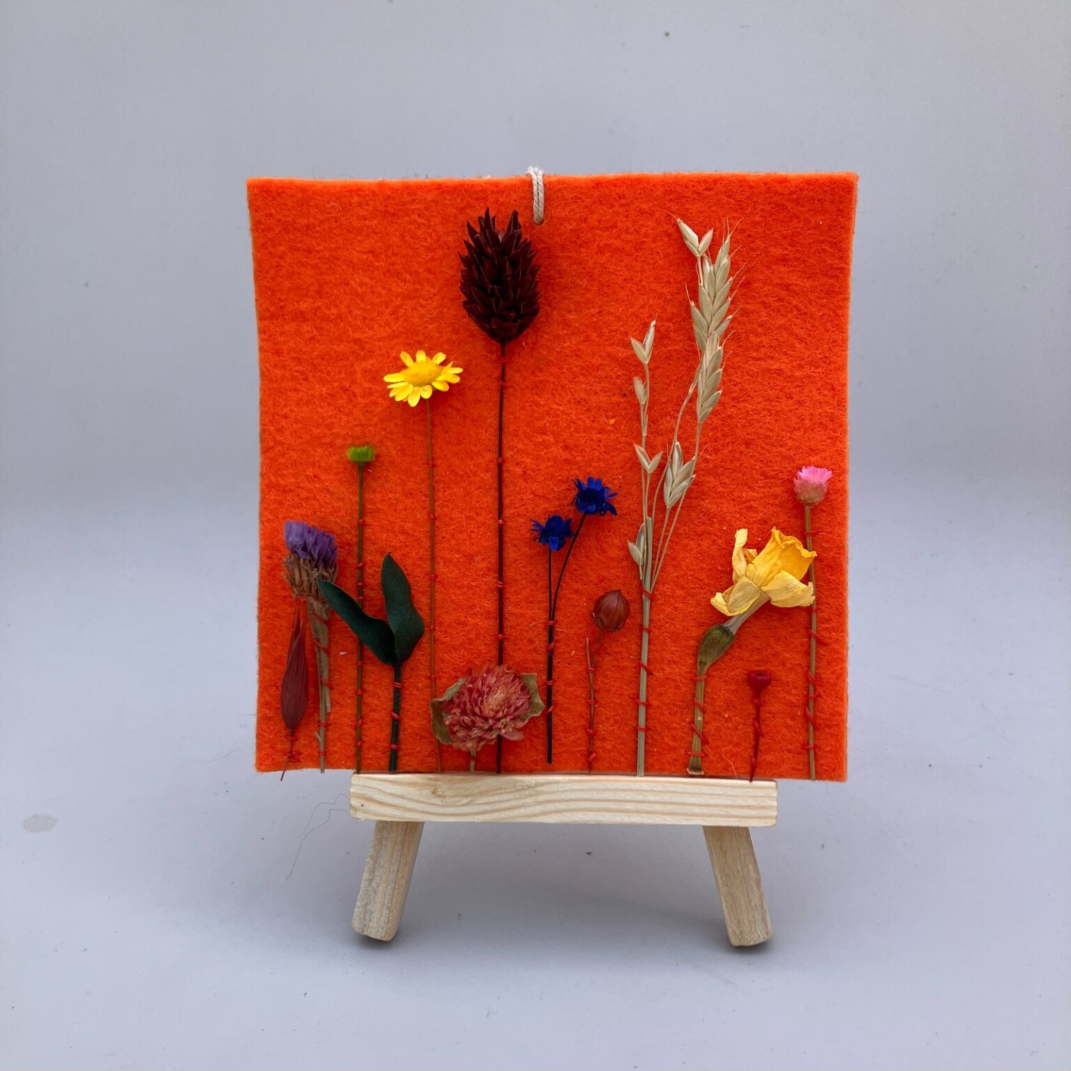 Botanische muurkunst op vilten tegel - wanddecoratie met gedroogde ...
