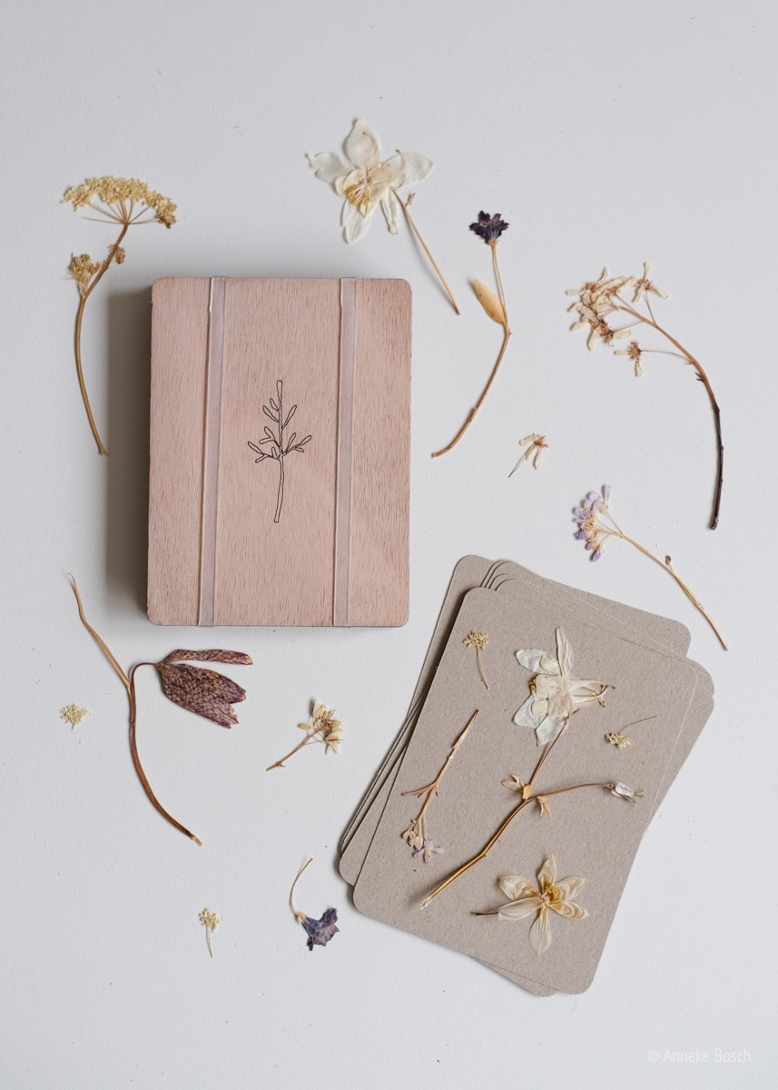 A6 Droog Bloemen Pers DIY Kit met Drijvende Ketting Goud Klein - Swan ...